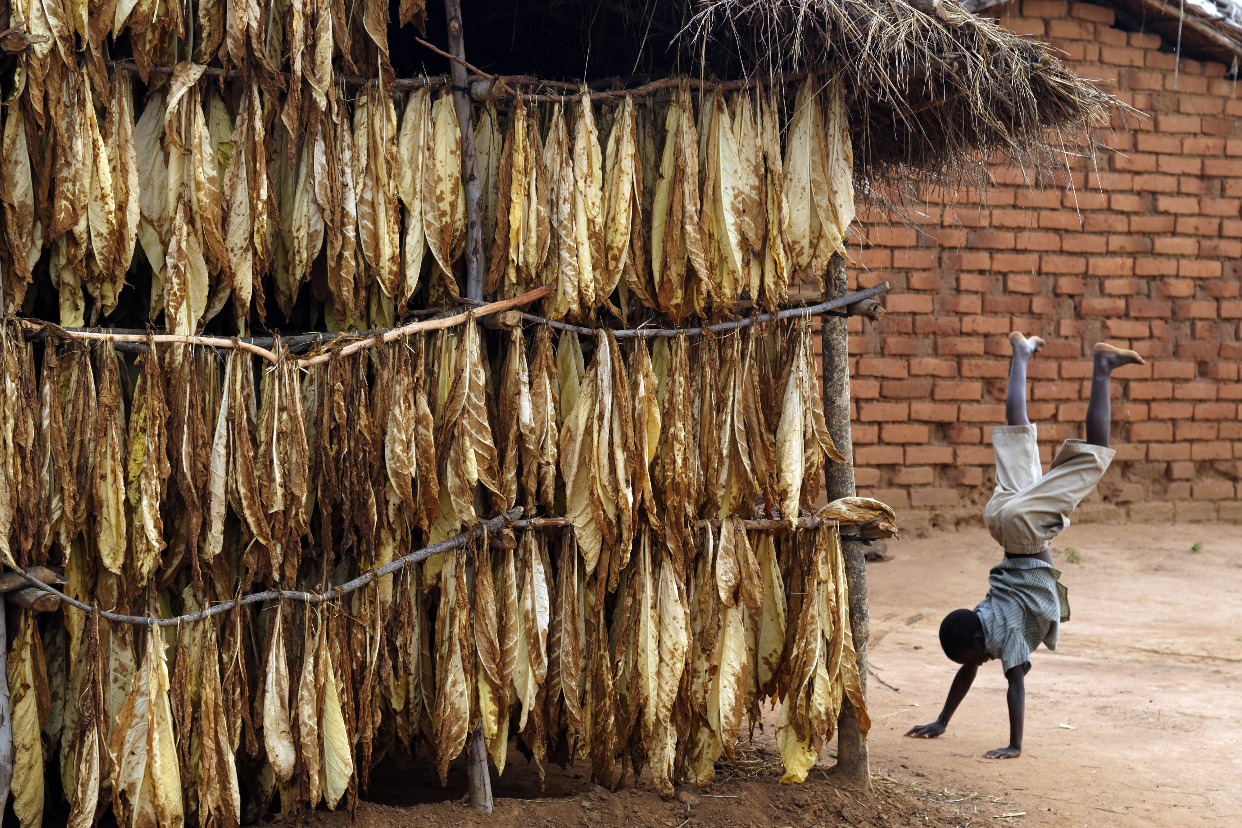 Self-Guided Course on Reporting on Child Labour for Media | ITCILO
