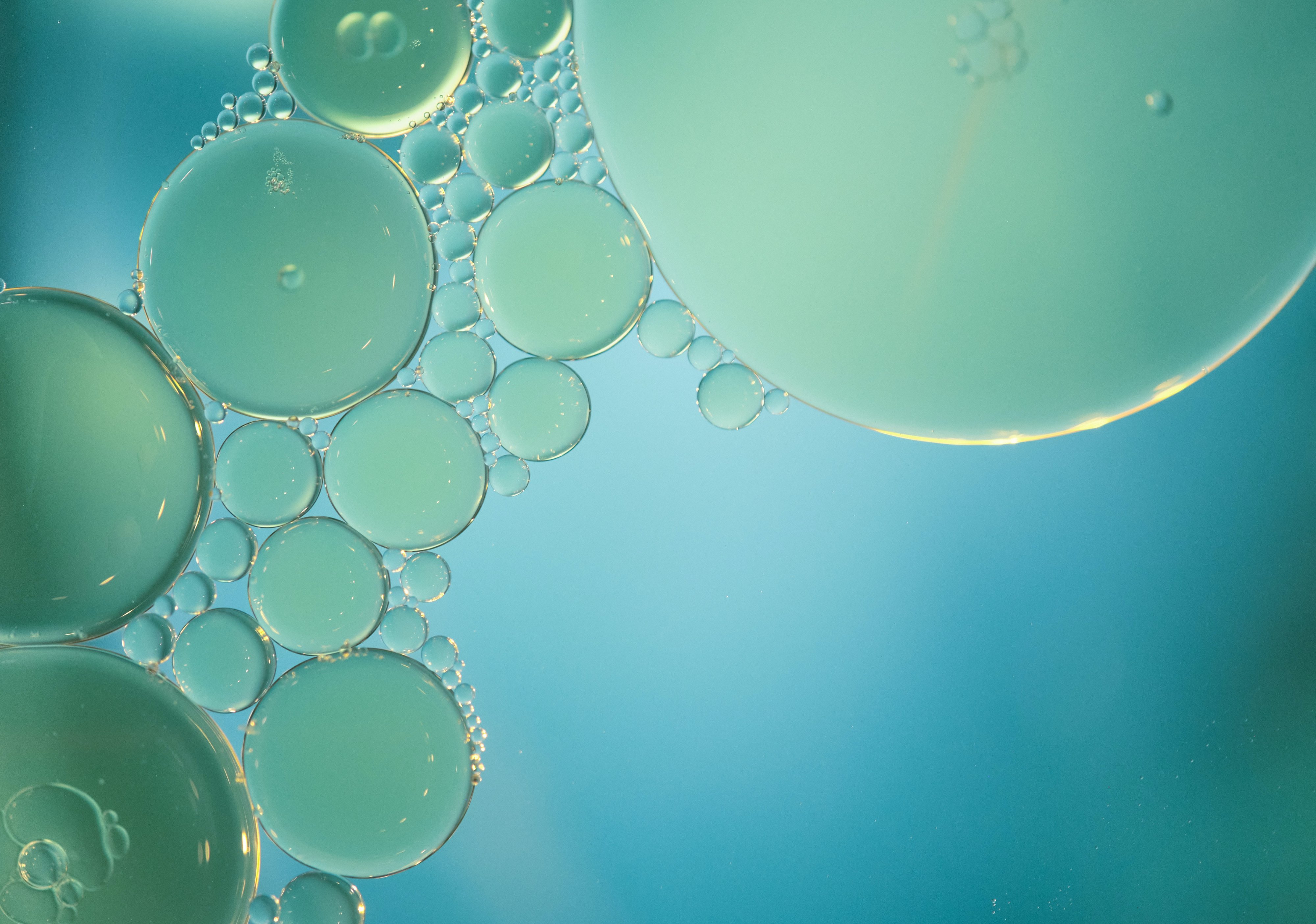 The Small Island Developing States (SIDS) Dialogues for Sustainable ...