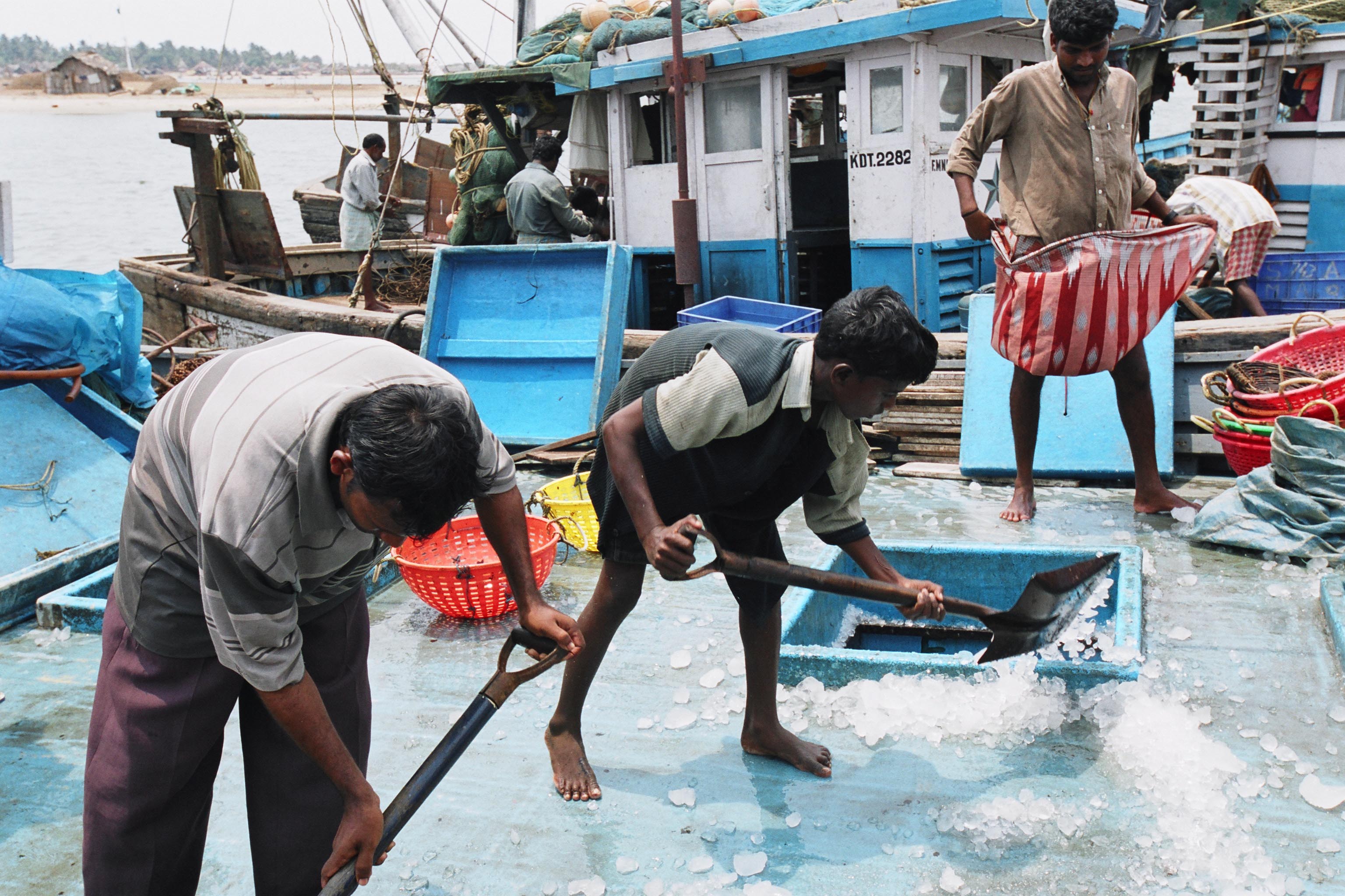 Detecting forced labour in commercial fishing | ITCILO