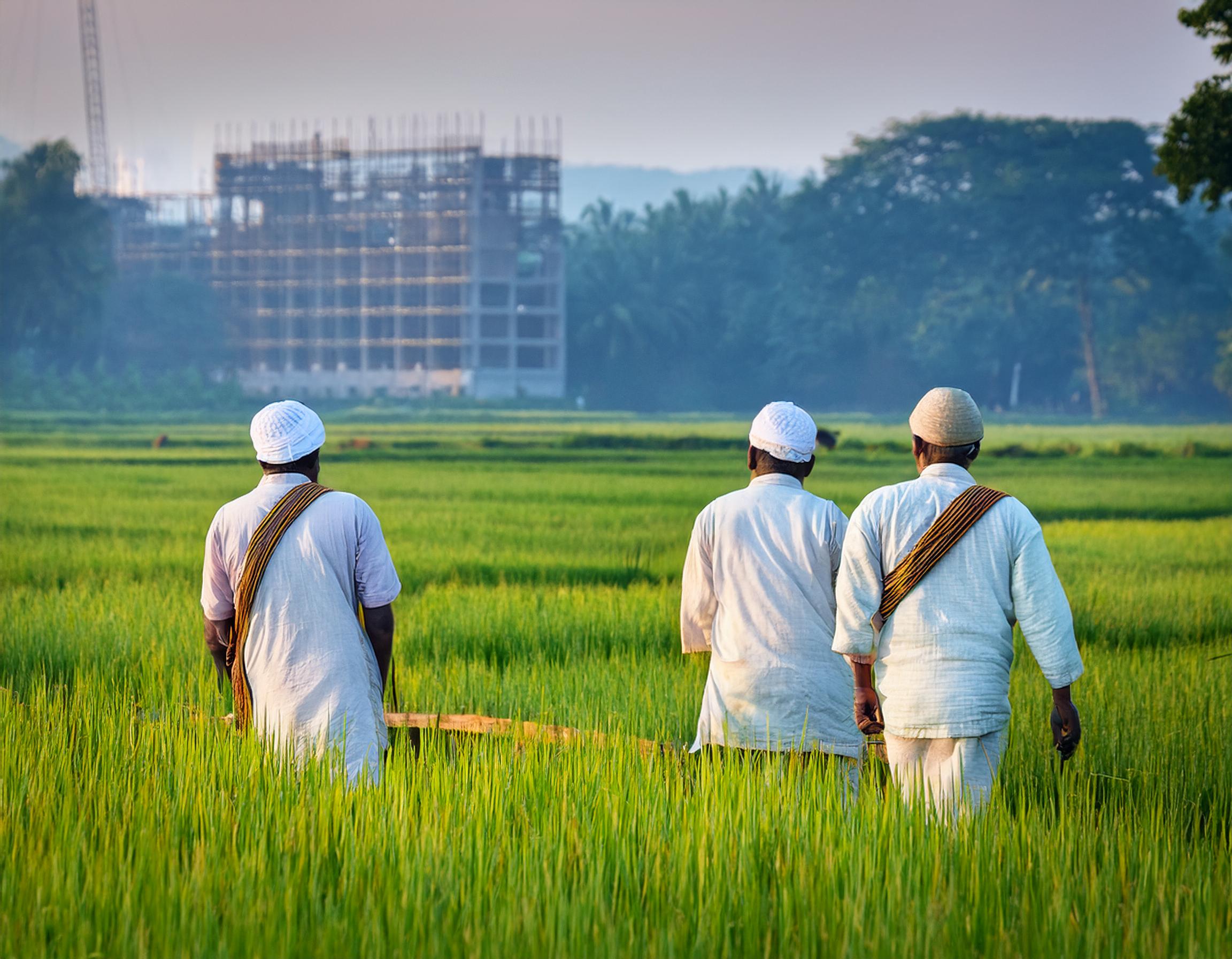 International Labour Standards (ILS) and protection of vulnerable workers in the agriculture and ...