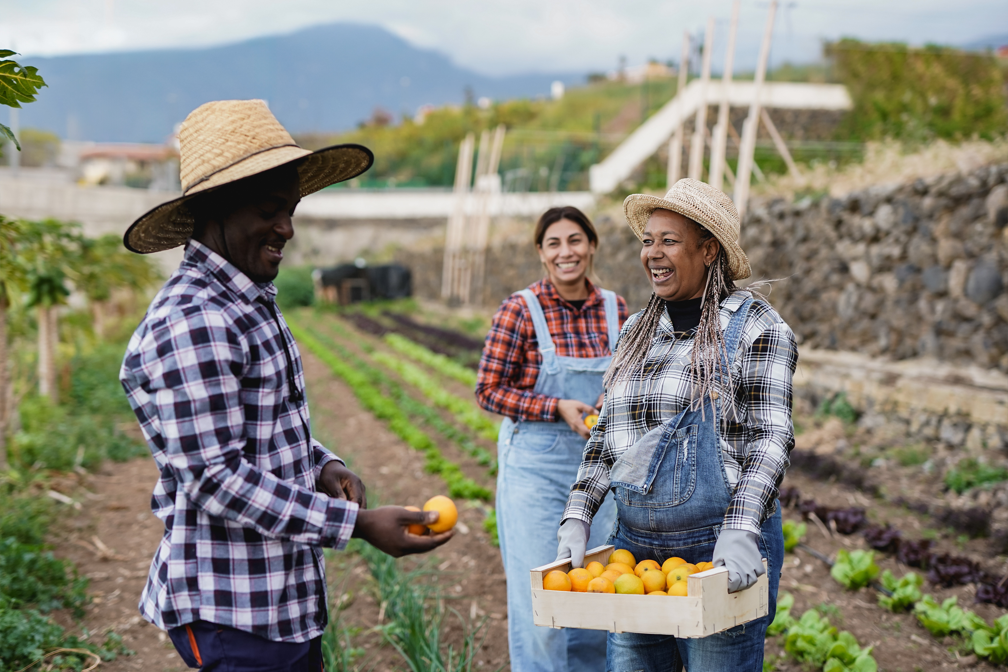 From Policy to Implementation – Advancing Social Standards for Inclusive Development | ITCILO