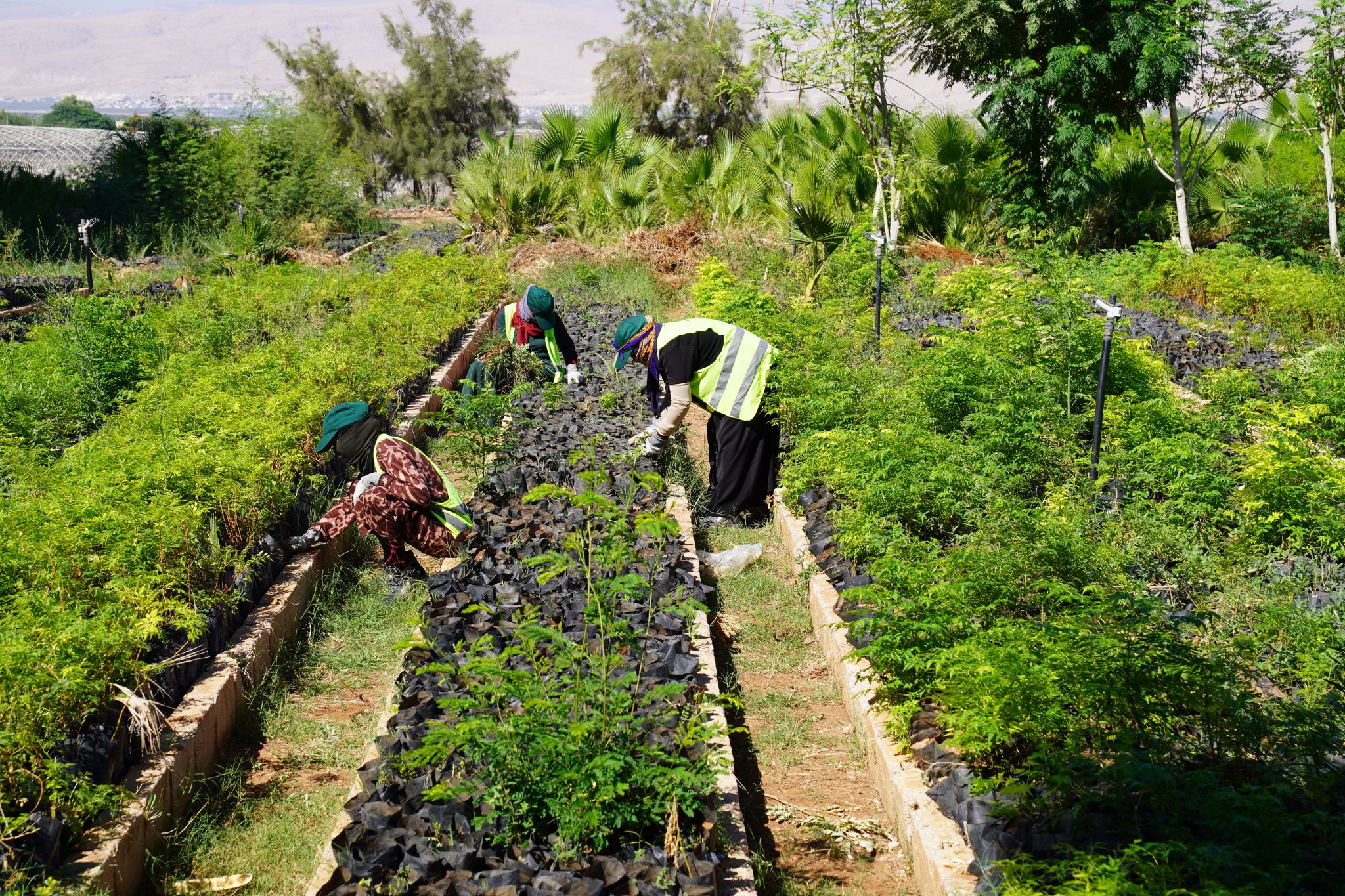 Exploring Green Works, Nature-Based Solutions, and E&S Safeguards for ...