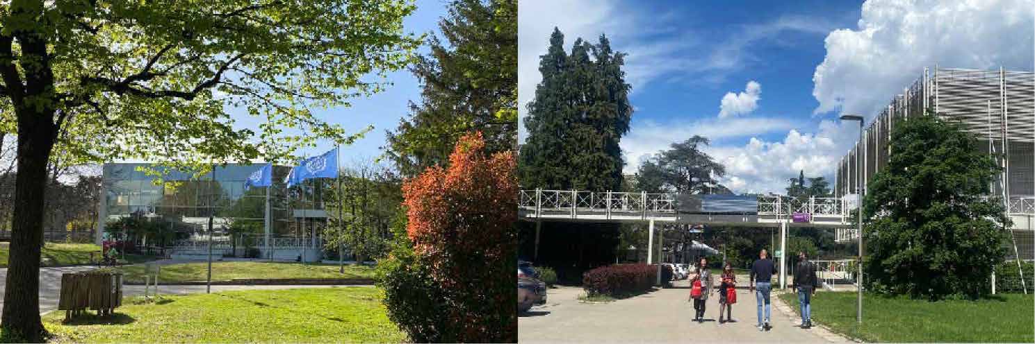 Master in International Trade Law | ITCILO