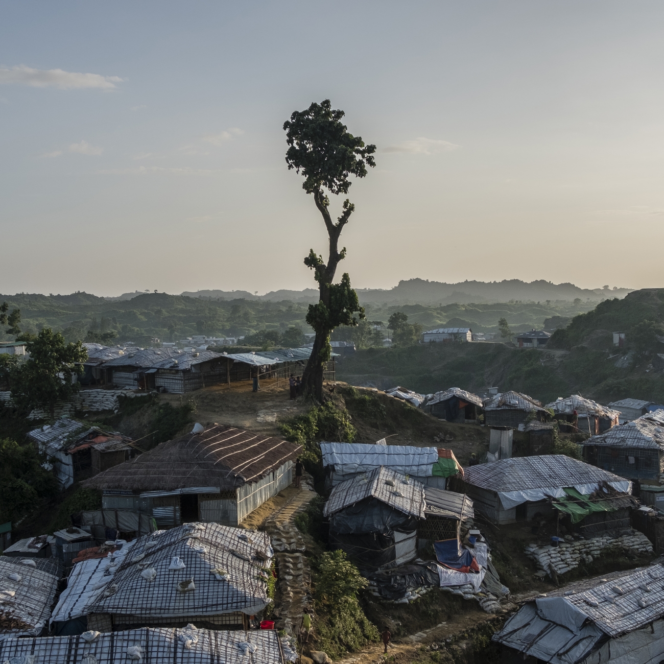 "The Wretched and the Earth" photo exhibition on campus | ITCILO