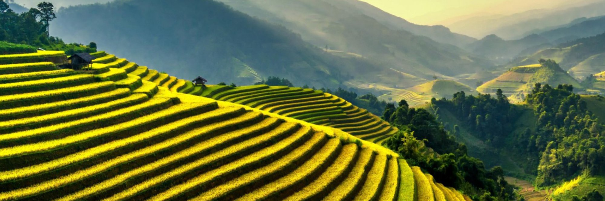 The Future of Work in the rural Economy | ITCILO